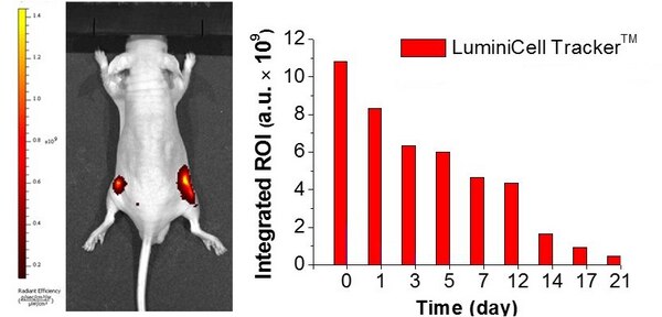 LuminiCell Tracker™ 670- Cell Labeling Kit | SCT011